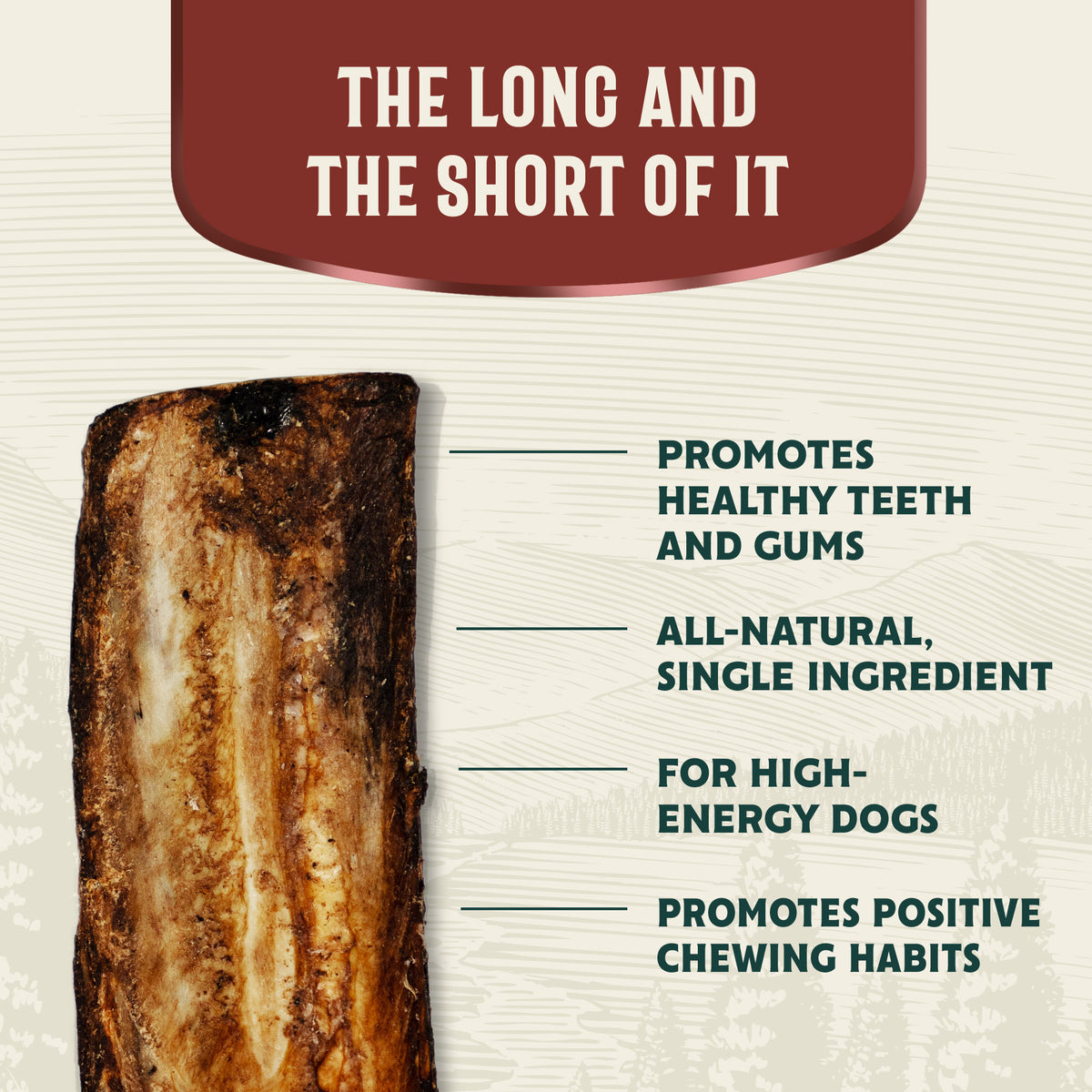 Beef Rib Bones for Dogs - 8-10 Inch - 10 Count | Hank And Roy Pet Treats